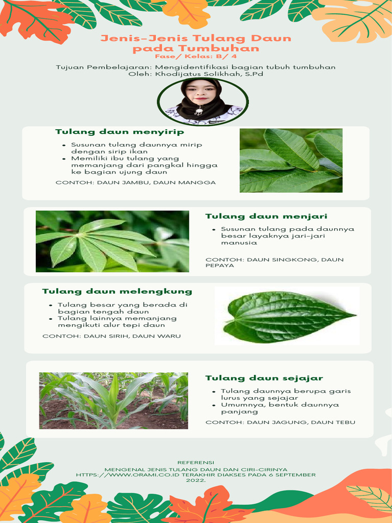 Jenis dan Contoh Tulang Daun Tumbuhan | PDF