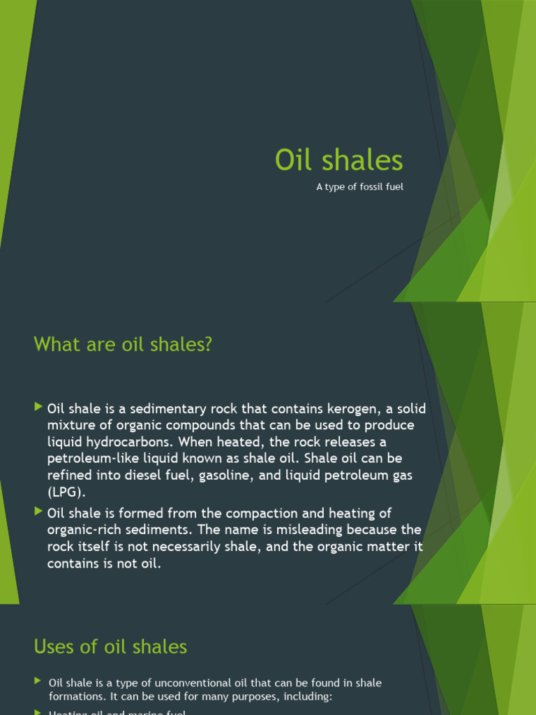 Oil Shales | PDF