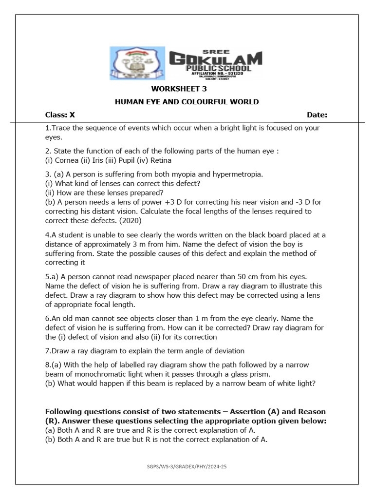 eye worksheet | PDF | Eye | Light