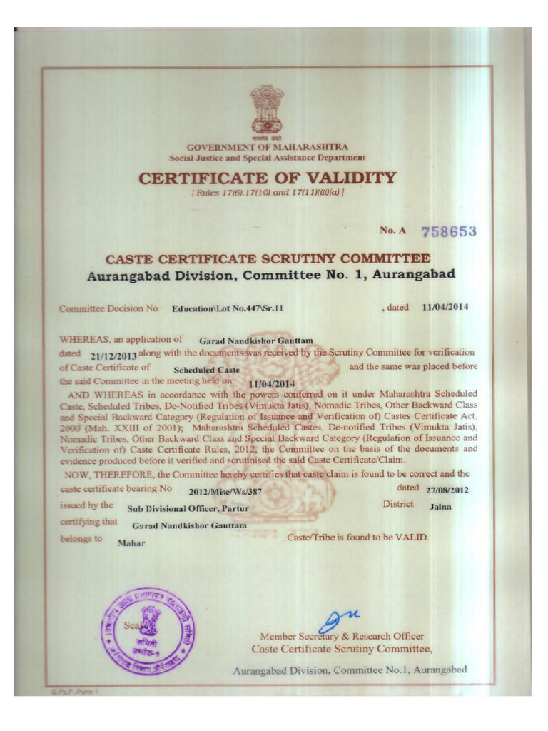 Caste Validity | PDF