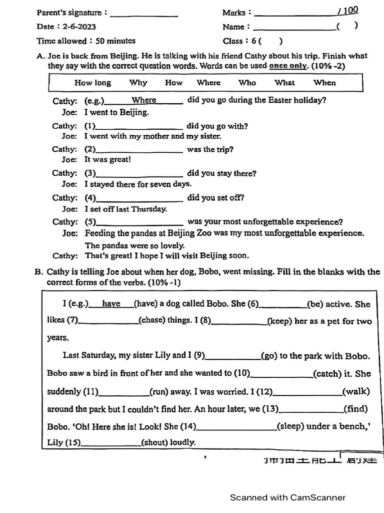 p6 Eng | PDF