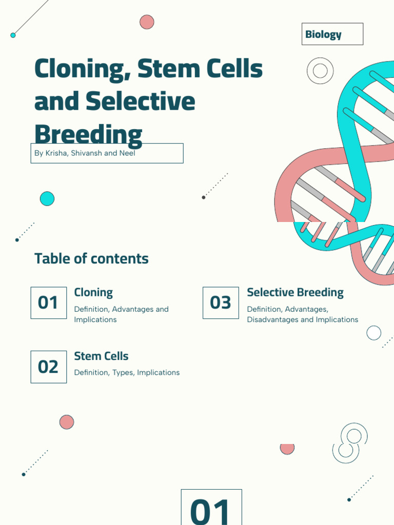 Cloning, Stem Cells and Selective Breeding | PDF | Cell Potency | Cloning