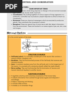 Human Brain Functions - Class 10 Notes | PDF
