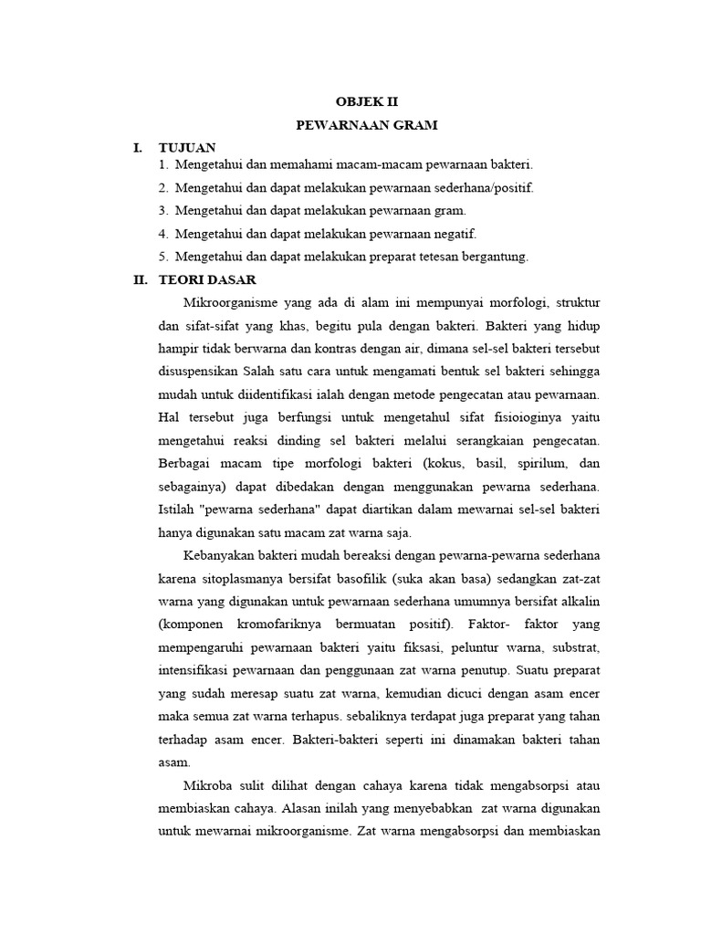 Pewarnaan Gram Bundelan Objek 2 | PDF