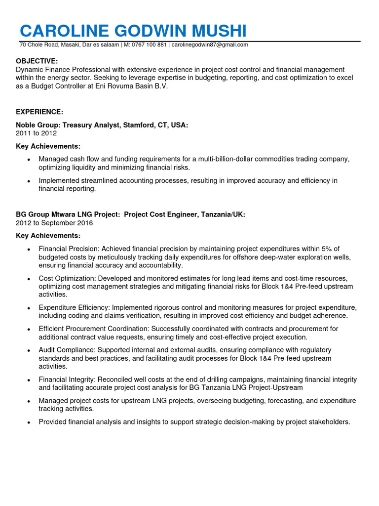 Budget Controller - Caroline Godwin Resume | PDF | Audit | Cost Accounting