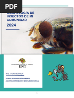 Estructura y Tipos de Patas de Insectos | PDF | Insectos | Artrópodos
