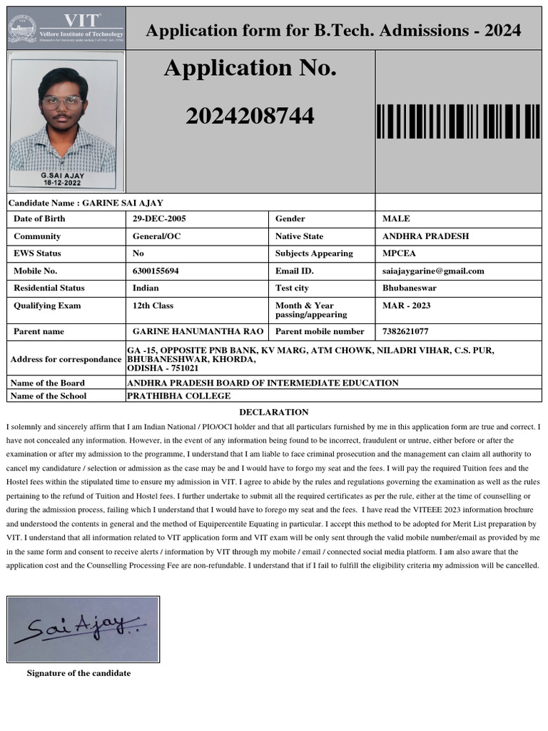 Vitee Application | PDF