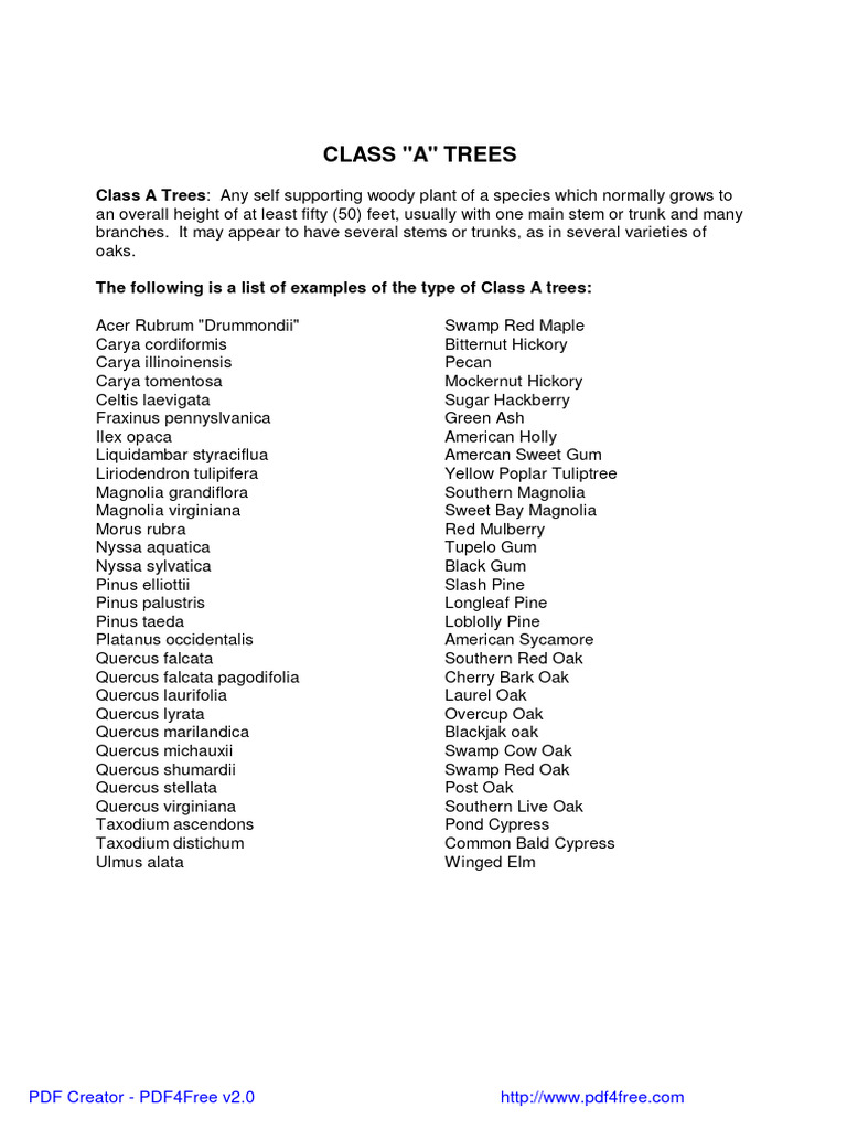 tree.lst_-1 | PDF | Trees | Plants