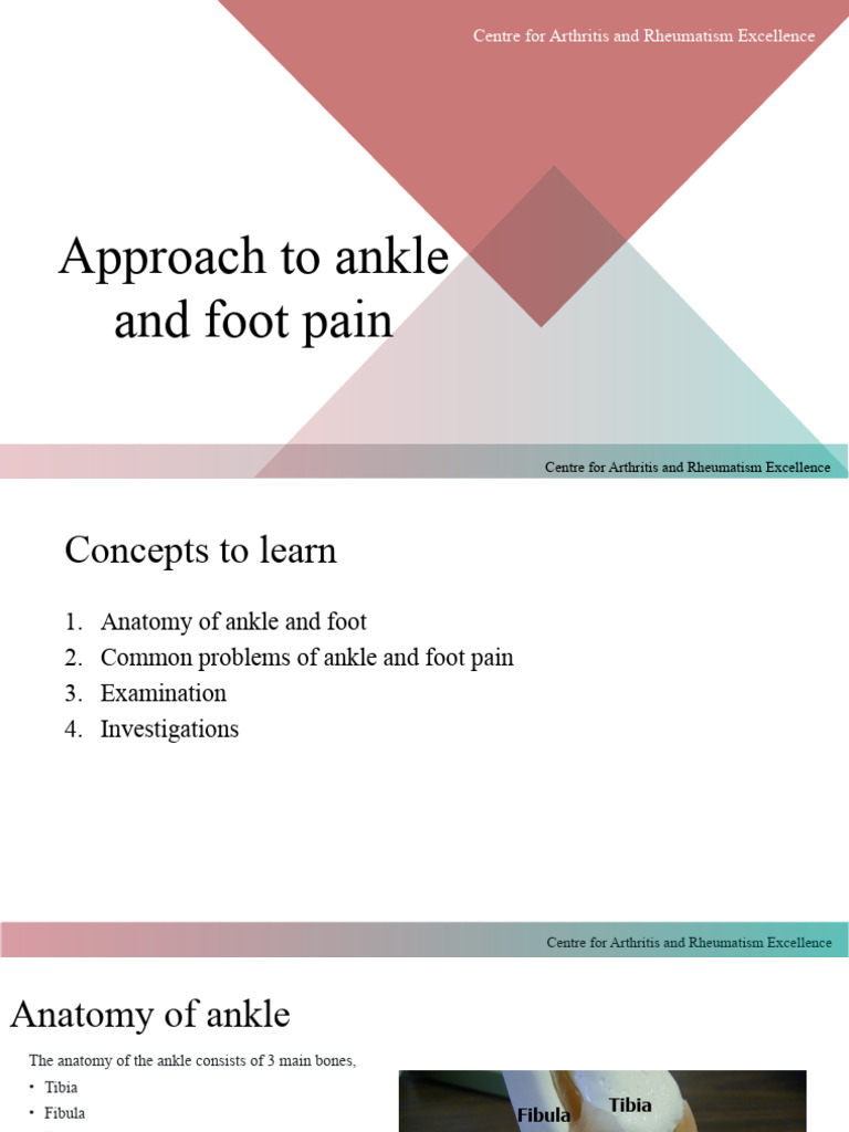 Approach To Ankle and Foot | PDF | Foot | Ankle