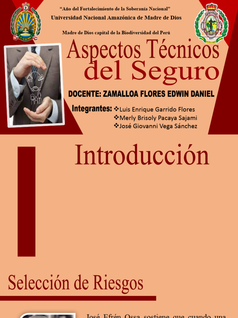 Aspectos Tecnicos Del Seguro | PDF | Seguro | Reaseguro