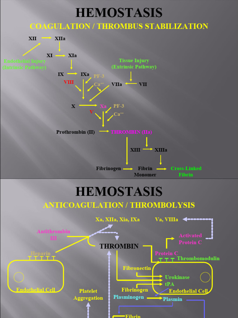Hemostasis Dan Gangguan Hemostasis | PDF | Coagulation | Thrombosis