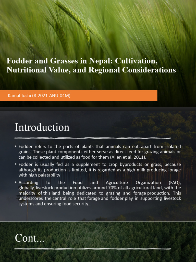Fodder and Grasses in Nepal | PDF | Fodder | Grazing