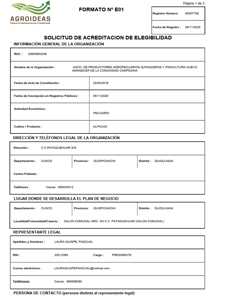 Formato Sel E1 Nuevo Amanecer | PDF | Documento de identidad | Gobierno