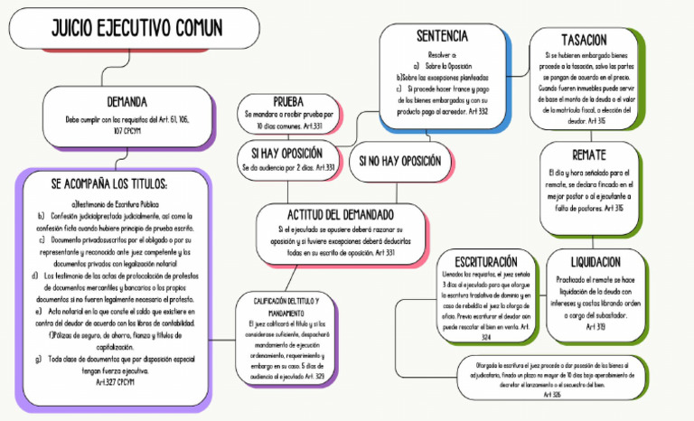 Esquema Juicio Ejecutivo Común | PDF