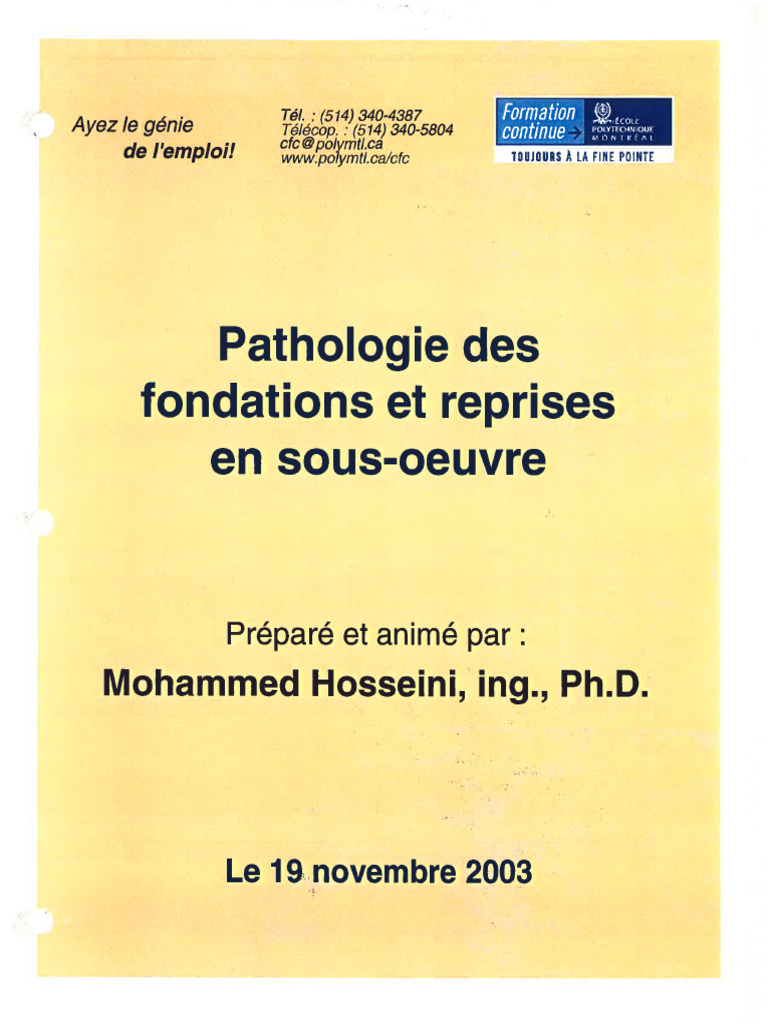 Pathologie Des Fondations Et Reprises en Sous-Oeuvre | PDF