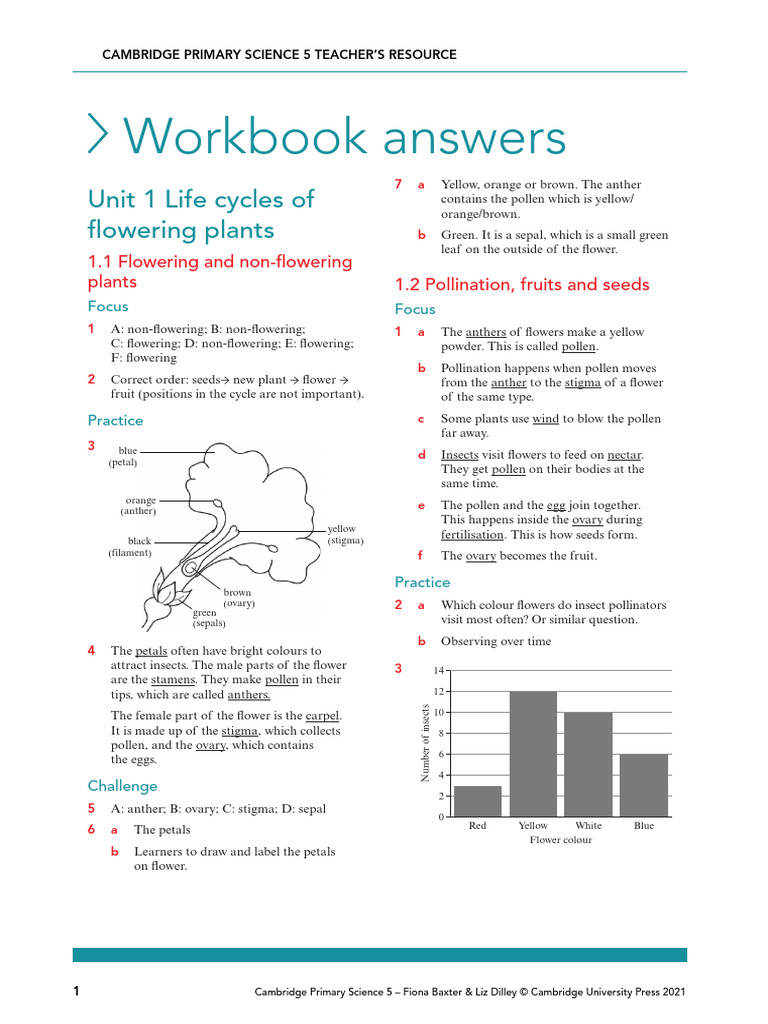 Pages From CAMB NEW Y5 ScienceVG | PDF | Flowers | Petal