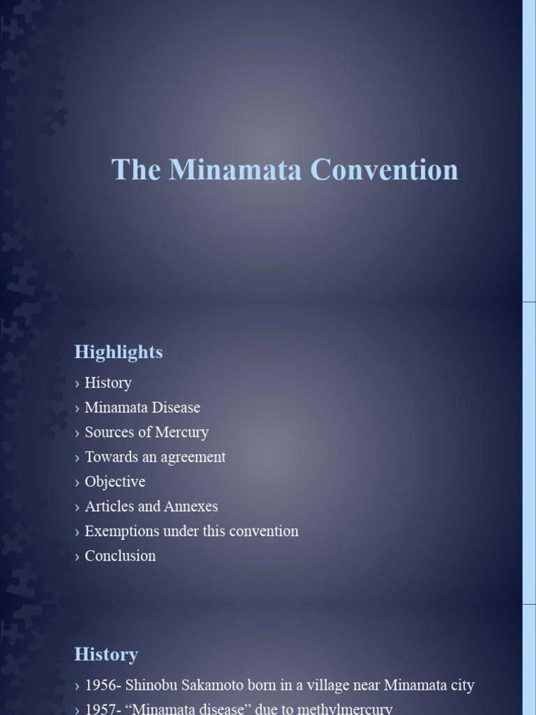 Minamata Convention Overview and Impact | PDF | Mercury (Element ...