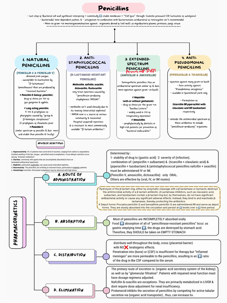 Penicillins (1 Page) | PDF