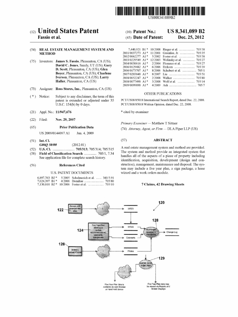 Example Patent Management System | PDF