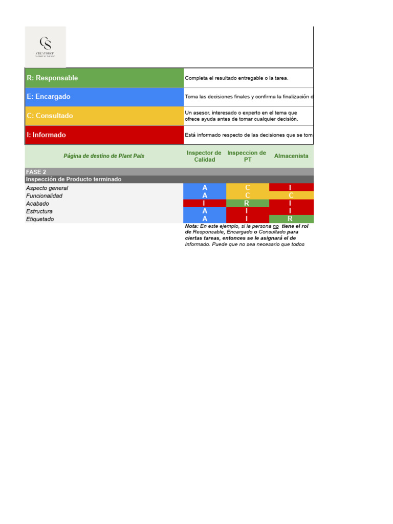 RACI Completo - Exemplar - Phase 2 | PDF
