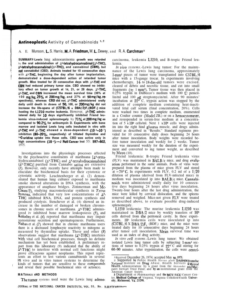 Cannabinoids' Antineoplastic Effects | PDF | Chemotherapy | Lung Cancer