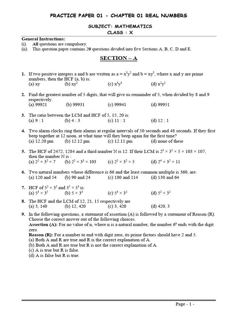 Class X Mathematics Practice Paper: Real Numbers | PDF | Numbers ...