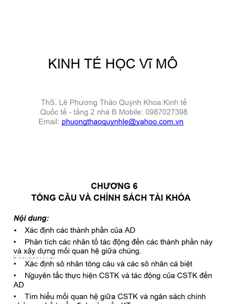 Kinh Te Vi Mo Le Phuong Thao Quynh c6 Tong Cau Va CSTK 2 | PDF