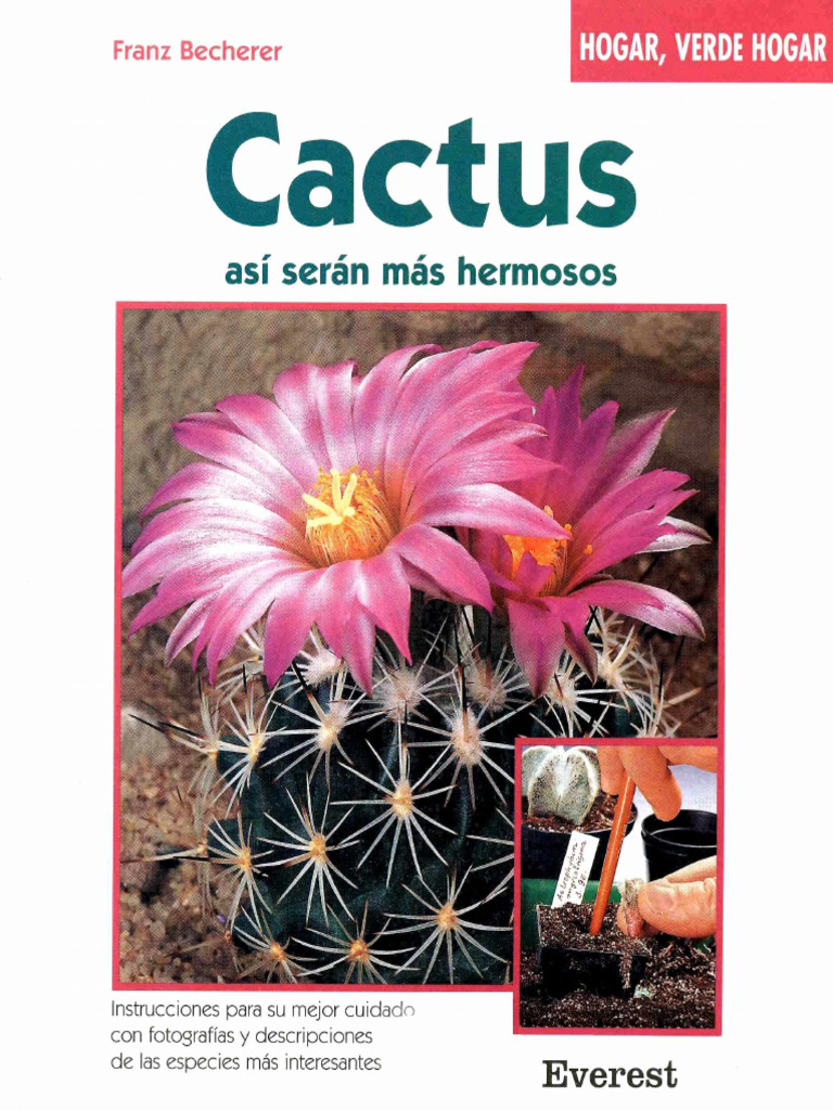 Cactus | PDF | Tallo de la planta | Hoja
