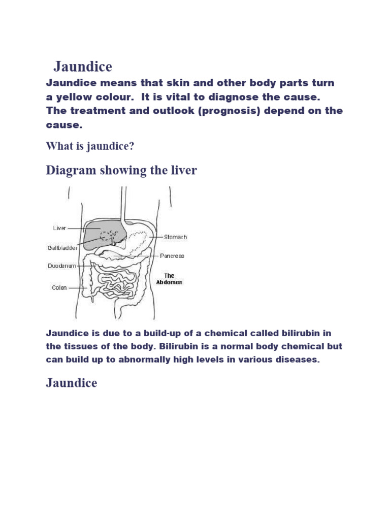 Jaundice notes | PDF | Bile | Liver