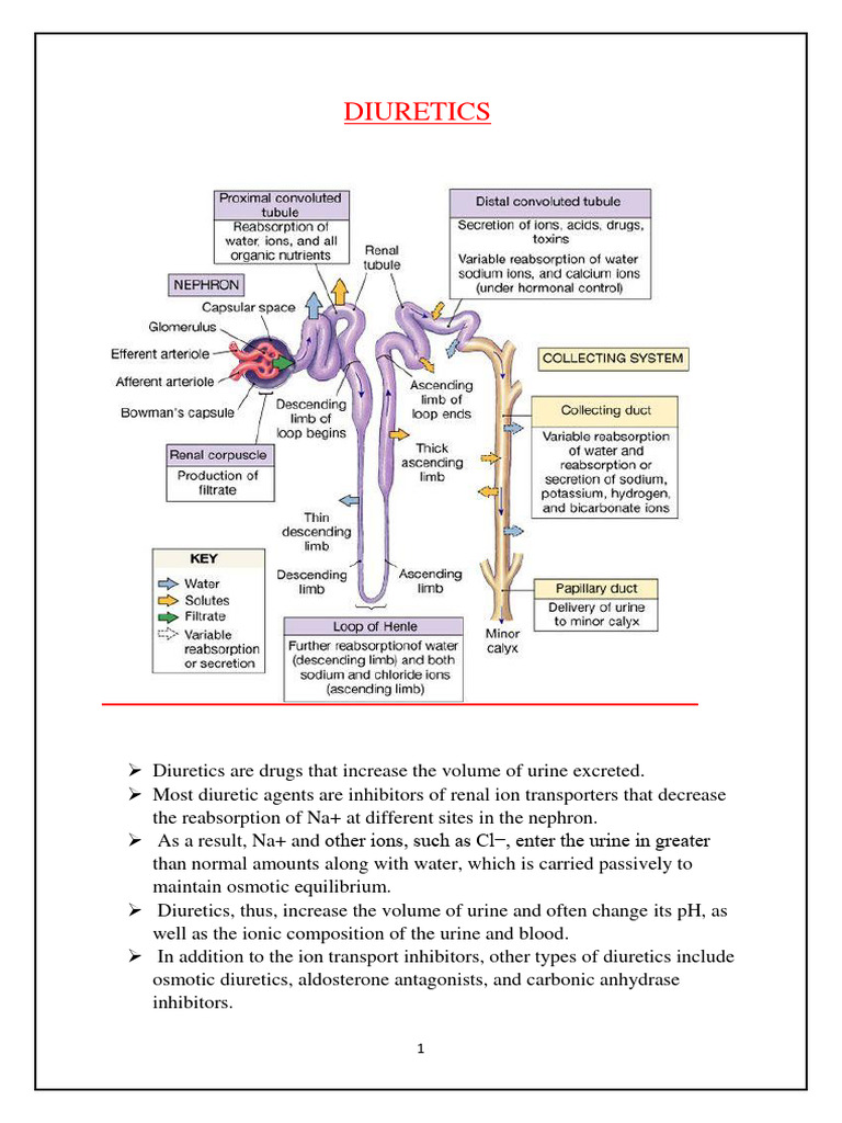 Comprehensive Guide to Diuretics | PDF | Medical Specialties