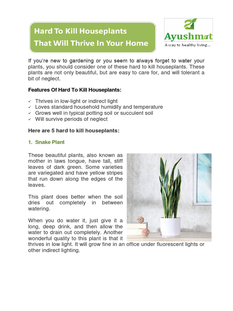 5 Hard To Kill Houseplants | PDF | Houseplant | Agriculture