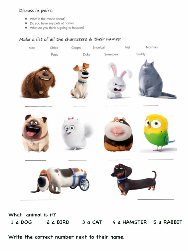 Secret Life of Pets Worksheet | PDF