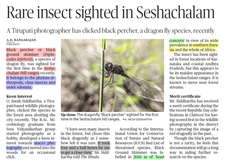 Rare Insect Sighted in Seshachalam | PDF | Organisms