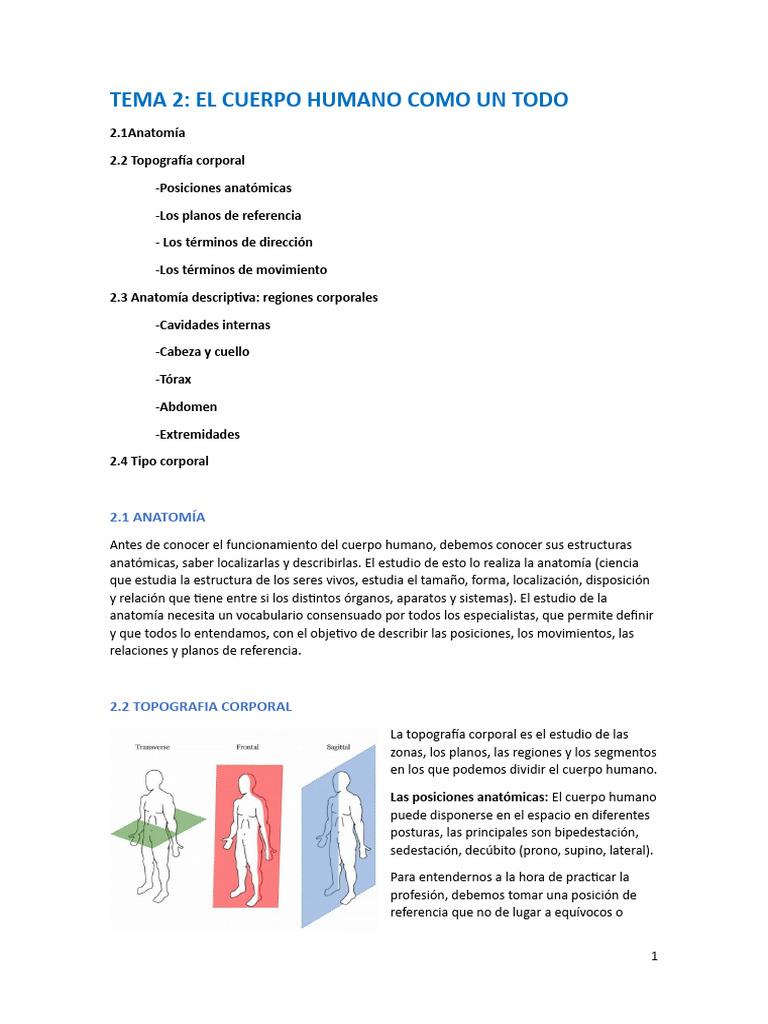 TEMA 2 FISIOPATOLOGÍA URIBARRI | PDF | Abdomen | Términos anatómicos de ubicación