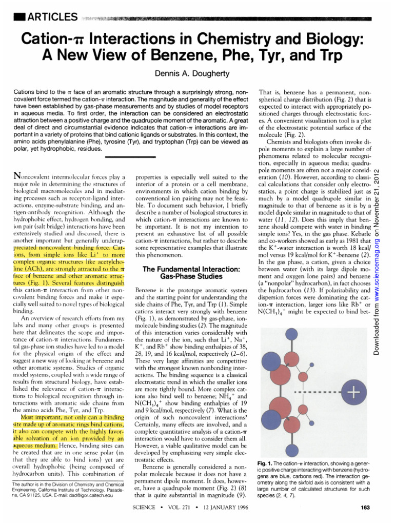 Pi-Cation Interaciones Dougherty1996 | PDF | Amino Acid | Ion