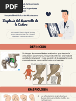 Barlow y Ortolani ¿Qué Son? | PDF