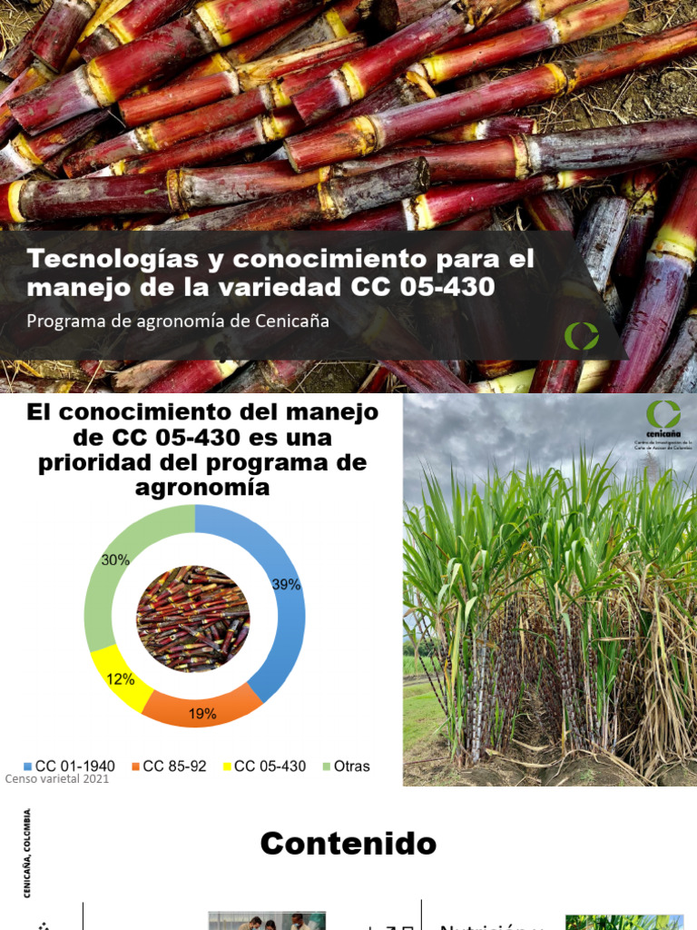 Manejo de la variedad CC 05-430 | PDF