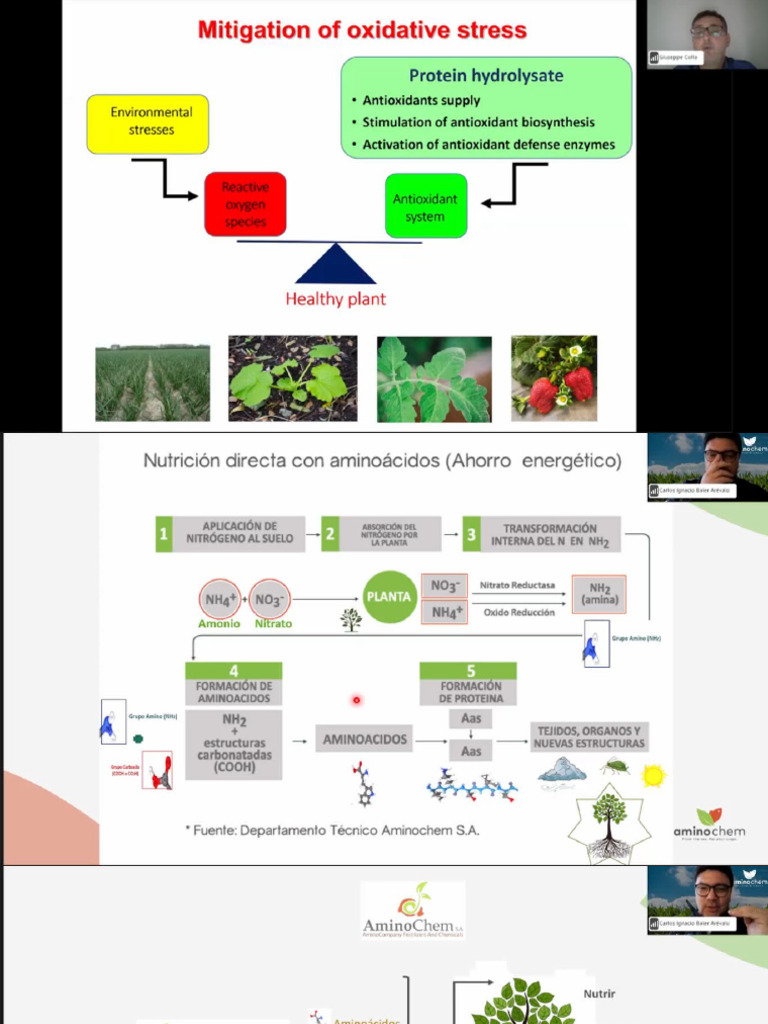 Bioestimulantes | PDF