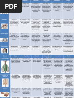 Ángulo de Louis | PDF | Tórax | Anatomía humana