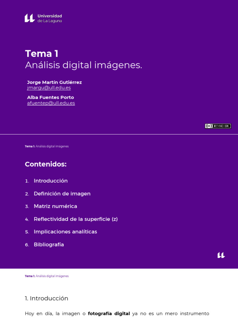 Tema 1_Análisis digital de imágenes. | PDF | Imagen | Píxel