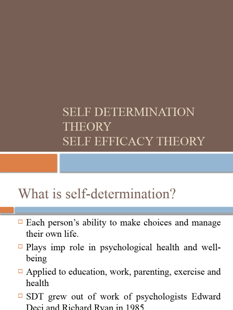 Self Determination Theory | PDF | Self Efficacy | Motivational