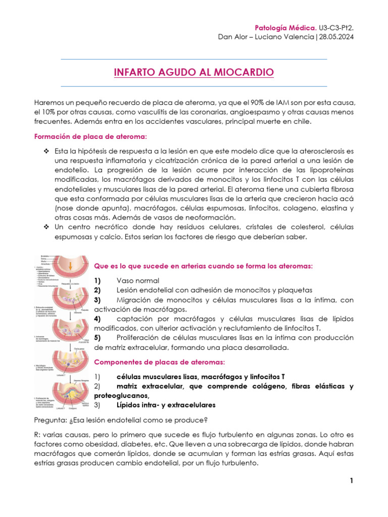 U3c3 Iam Pdf Infarto De Miocardio Corazón