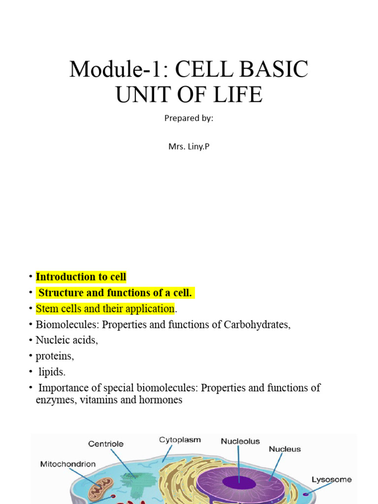 Module-1.1 Cells | PDF | Cell (Biology) | Cell Nucleus