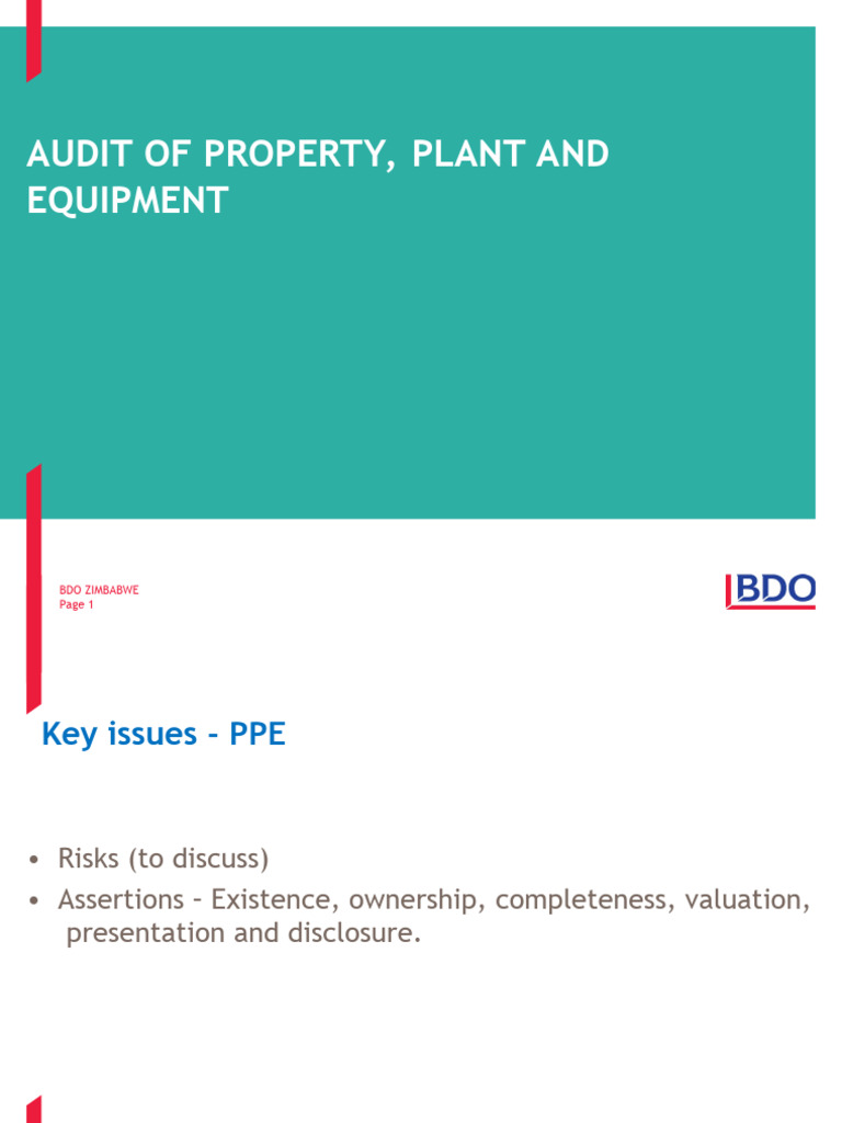 Audit of PPE | PDF