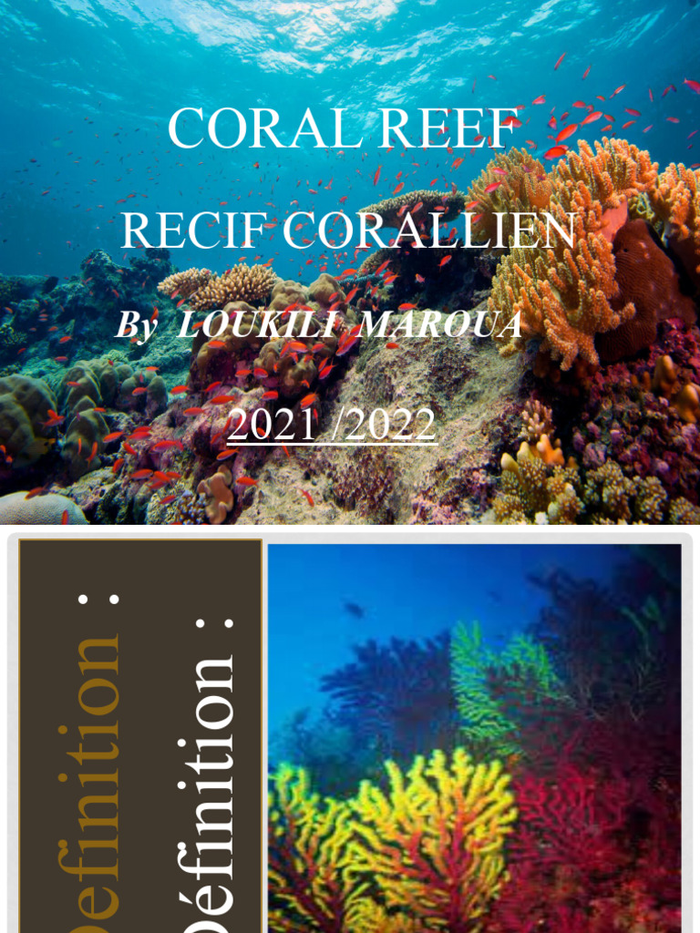 Importance et caractéristiques des récifs coralliens | PDF | Corail | Récif