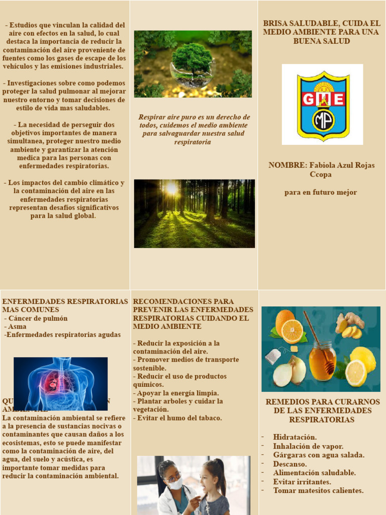 Triptico Completo de Las Enfermedades Respiratorias | PDF | Contaminación | La contaminación del ...
