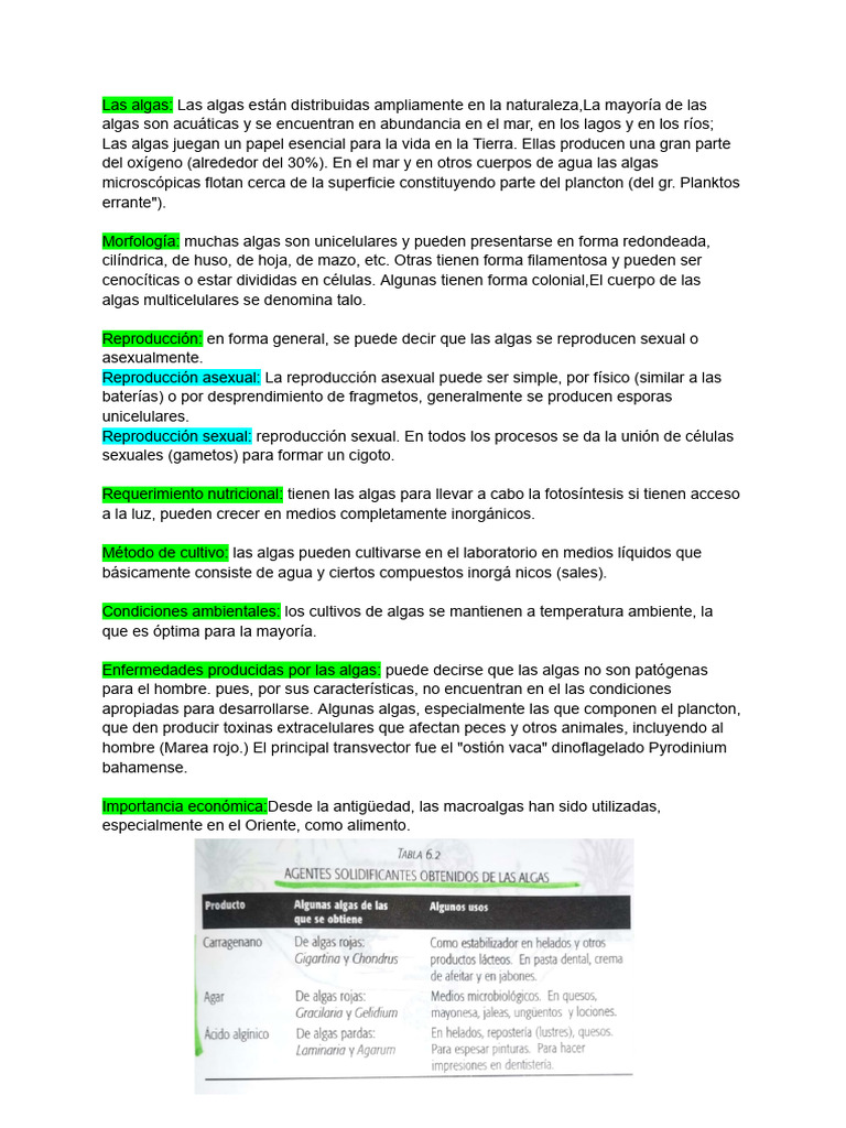 Las Algas PDF | PDF