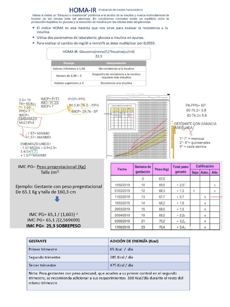 formulas de embarazada | PDF