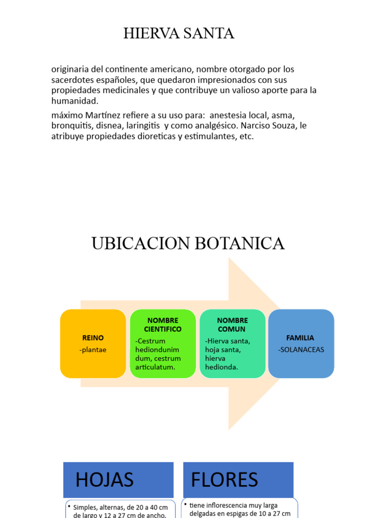 Propiedades y Usos de la Hierva Santa | PDF