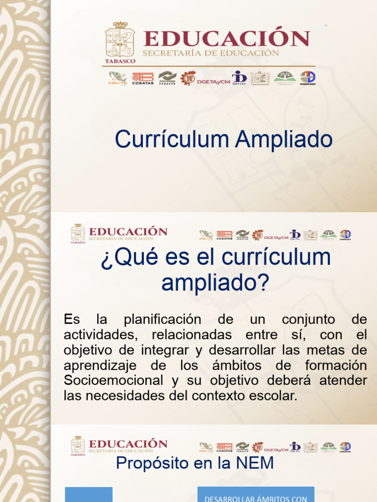 Presentacion Curriculum Ampliado | PDF | Plan de estudios